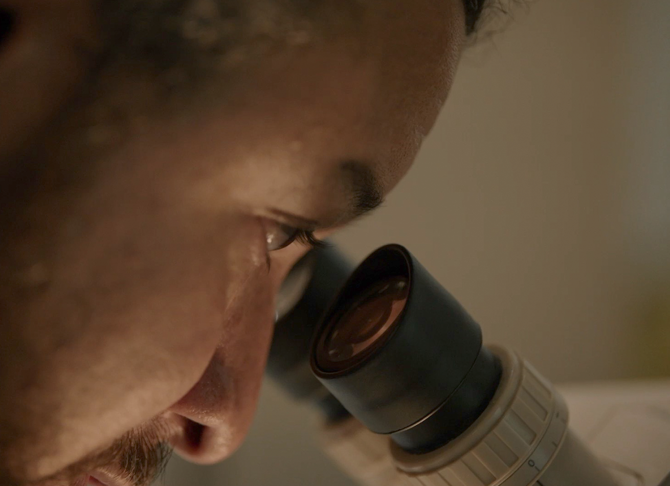 Homepage - Safe Reflection Inc.