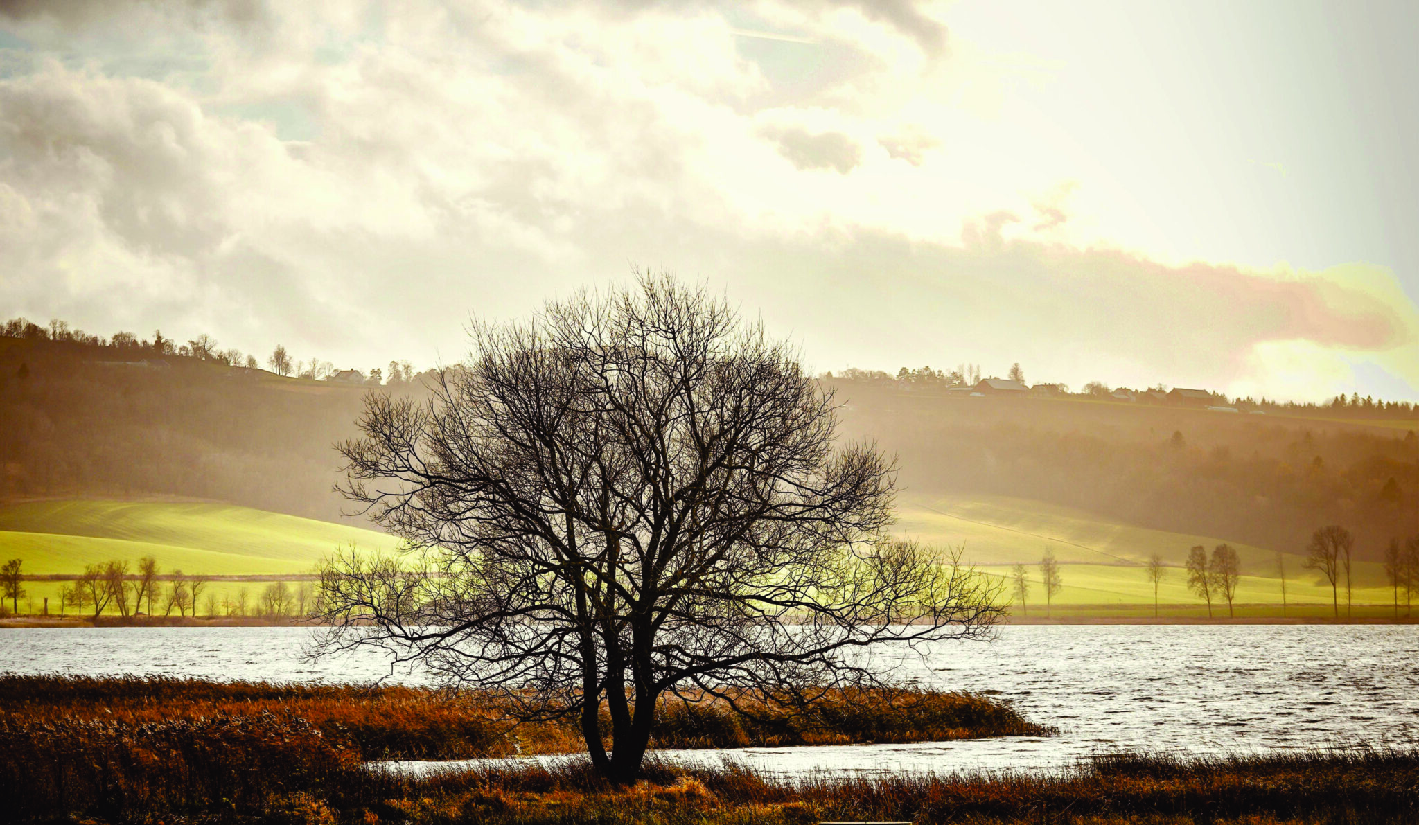 About Us - Safe Reflection Inc.